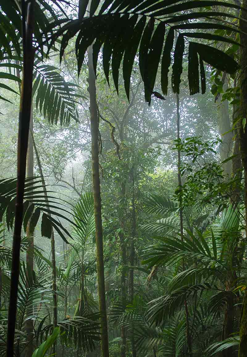 Thai Island To Visit - Imvubu Ventrues