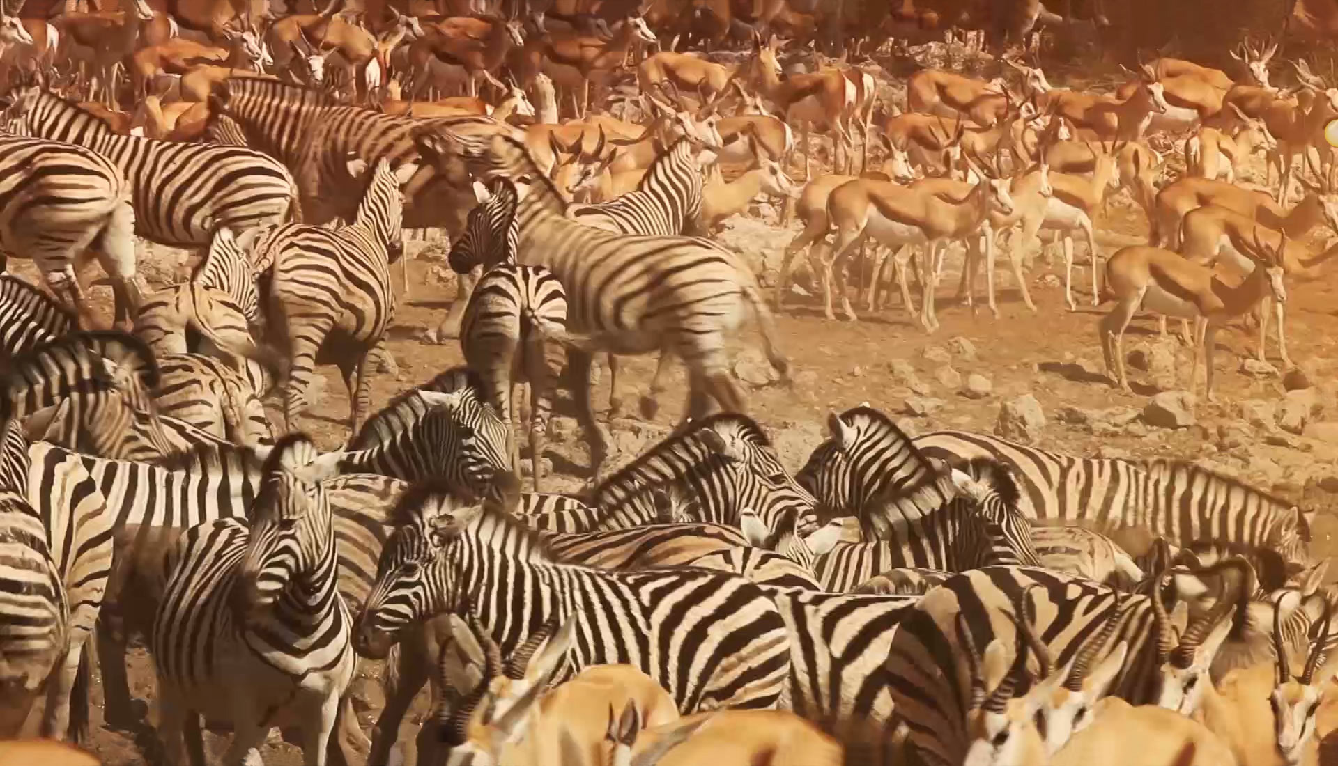 Contact Imvubu Ventures | Adventure Booking & Enquiries | St Lucia ...