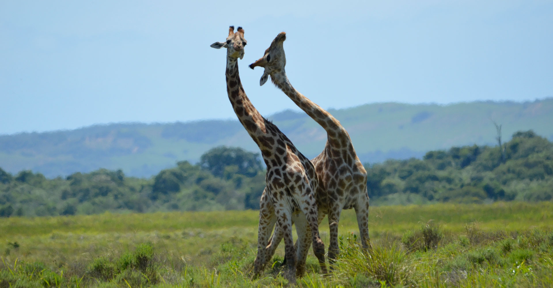 About Imvubu Ventures | South African Tourism Experts | St Lucia KZN